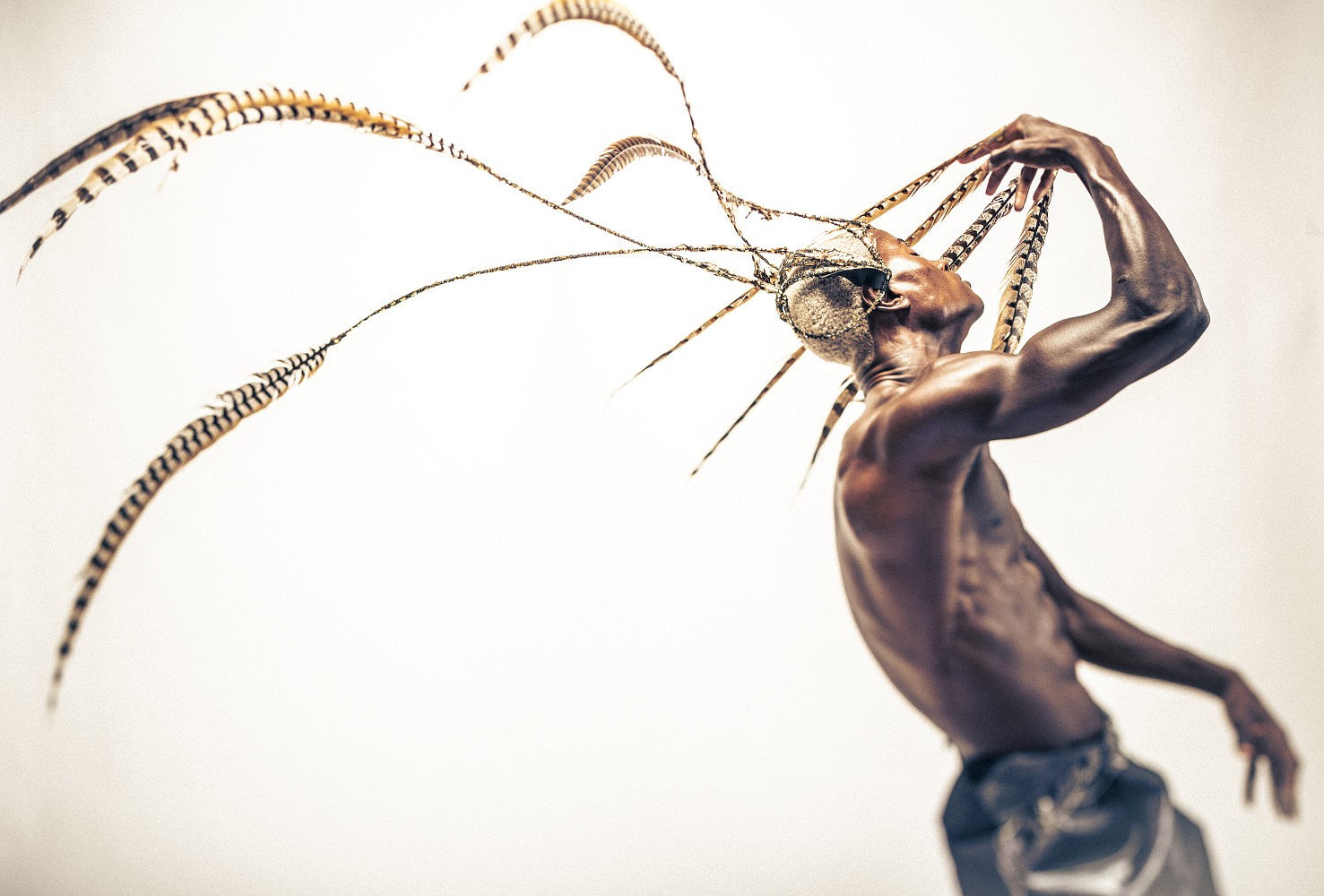 ART | Studio François Rousseau